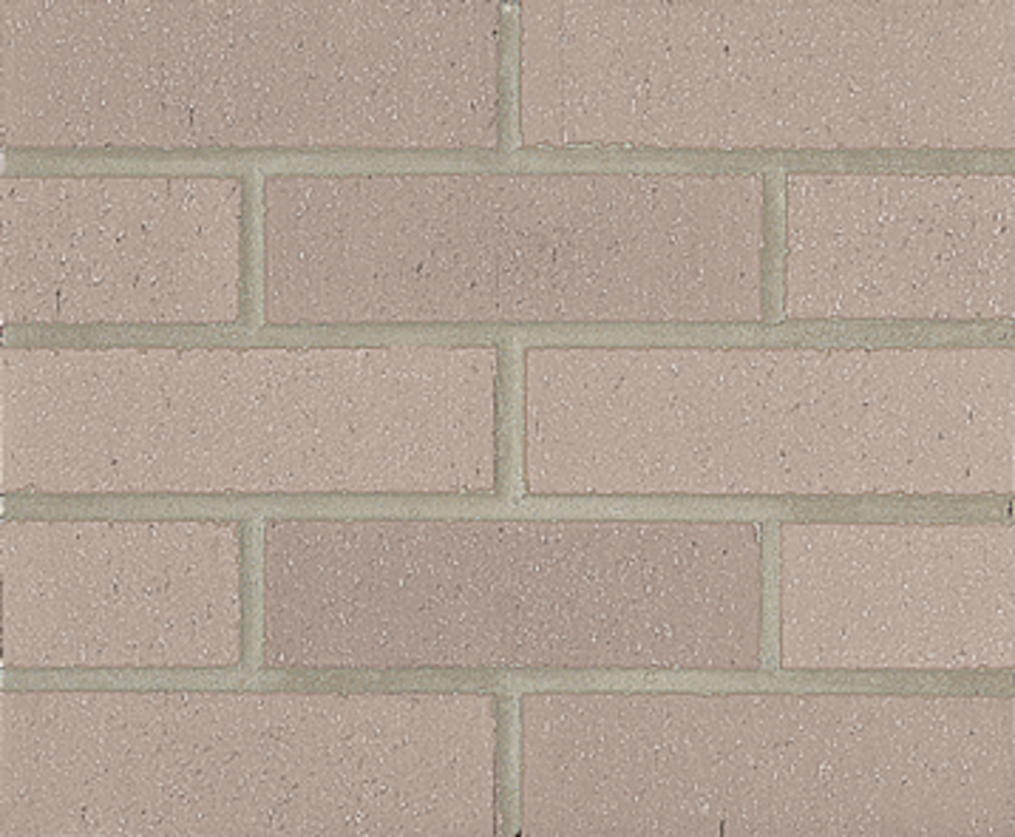 Thin Brick Boston 2x8 Edge Cap – Virginia Tile